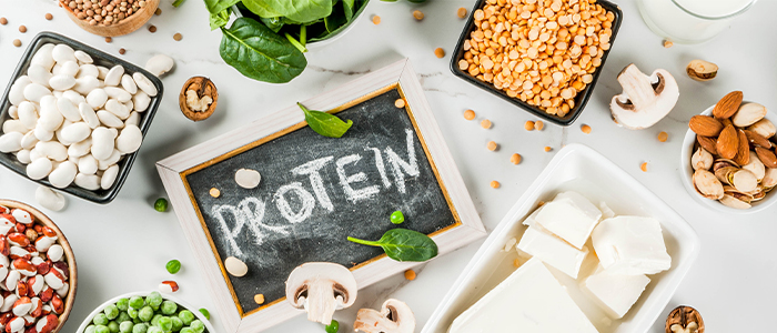 Protein: Uses, Function & Benefits